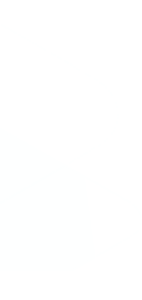 Busibud | Let AI handle your customer service